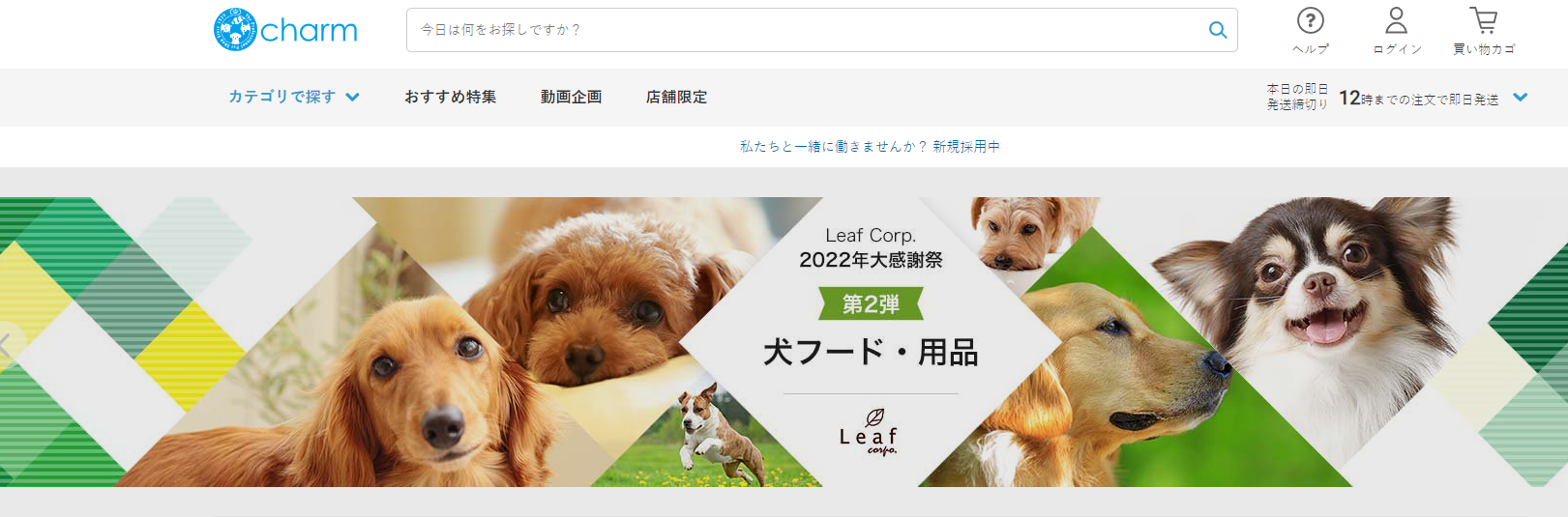 ネットショップでペットグッズを販売する為の開業手順や成功させるためのコツ、注意点を解説 - 売る倉庫